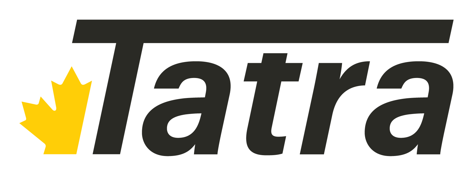 Electric Shock Resistant Footwear - Tatra Work Boots